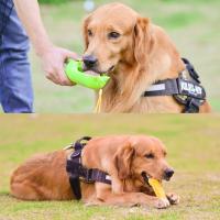 China Wholesale Portable Plastic Dog Cat Feed Drink Bowl Feeding Walking Water Bottle with Dog Bowl for sale