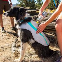 China Ruffwear Trail Tested and Dog Approved Swamp Cool Vest Australia for sale
