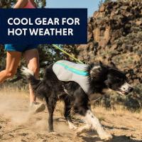 China Crufts Dog Cool Cooling Coat Vest for Hot Days - All Sizes Extra Small to Large for sale