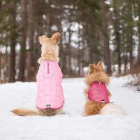 China Dog Winter Jacket Perfect for Walking and Running Outdoor Sports Pet Coat Wear with Harness Inside for sale