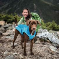 China Dog Rain Jacket Especially for Outdoor Adventure with Harness Opening Easy on & off for sale