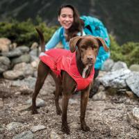 China Dog Winter Jacket Fits Dogs of All Sizes with Durable Rip-Stop Material Made for Three Season Coverage While Allowing for Natural Movement for sale