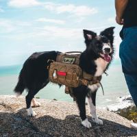 China Upgraded Version-M Dog Carrier Backpack Breathable Mesh Lining Dog Travel Backpack, Outdoor Dog Products for sale