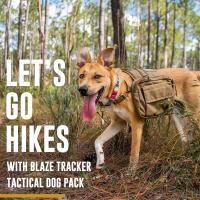 China Well-Made Air-Mesh Padded Best Dog Carrier Backpack with Hook-and-Loop Closured Pockets for sale