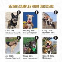 China Ideal Outdoor Adventure Dog Pack Similar to Kurgo Dog Backpack for Tactical Dog&prime;s Breed for sale