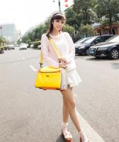 China Nylon Fashion Mesh Pet Shoulder Bag Outdoor Dog Carriers for sale