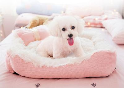 China Cute Design Fleece Bows Pet Pads Cushion Warm Dog Beds for sale