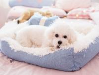 China Cute Design Fleece Bows Pet Pads Cushion Warm Dog Beds for sale