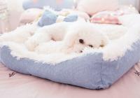 China Cute Design Fleece Bows Pet Pads Cushion Warm Dog Beds for sale