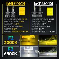 China F2 75W 7500 Lumens 3000K Yellow 9004 9007 H4 H13 LED Headlights Bulbs for sale