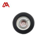 China IZUMI 1025500FE010 Belt Tension Pulley for JAC N56 for sale