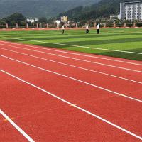 China All Plastic Synthetic Track Material Self Textured Plastic Running Track for sale