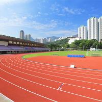 China All Plastic Synthetic Track Material Self Textured Plastic Running Track for sale