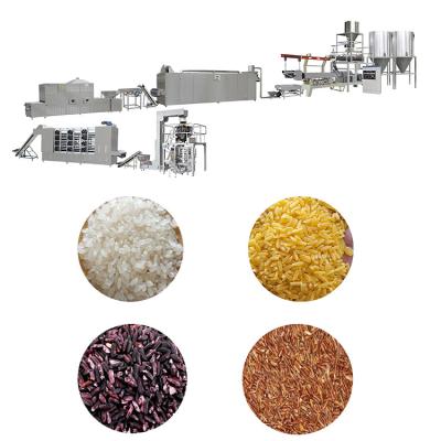 China Automatic Artificial Rice Extruder Machine 250kg/H Double Screw Production Line for sale