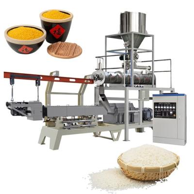 China Stainless Steel 304 Artificial Rice Machine Automatic 1000kg/Hr Extruder for sale