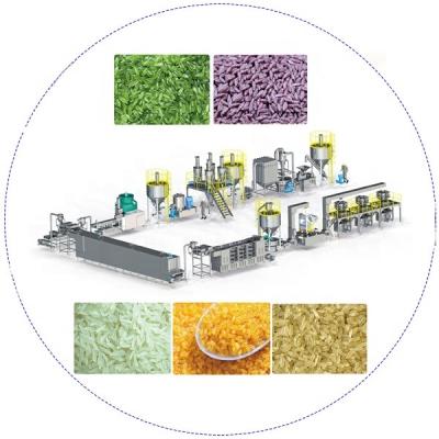 China Double Screw Extruder Artificial Fortified Rice Processing Line Stainless Steel for sale