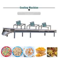 China Silk Road Breakfast Cereal Production Line Corn Flakes Machine 230kg/H for sale