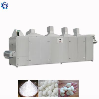 China Food Grade SS Modified Starch Production Line Making Machine 800kg/H for sale