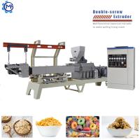 China CE Certified 150kg/h Corn Flakes Snack Food Production Line 59kw Extruder Machine for sale