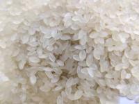 China CE ISO Fortified Artificial Rice Processing Line Machinery 1500kg for sale