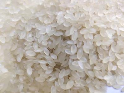 China CE ISO Fortified Artificial Rice Processing Line Machinery 1500kg for sale