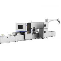 China Lithium Battery Pack Production Line Prism Battery Automatic Battery Manufacturing Equipment for sale