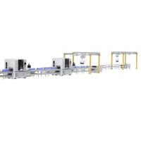 China Compatible models single/double lithium battery production assembly line for sale