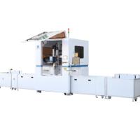 China Energy Storage Lithium Pouch Battery Pack Production Line Turnkey Project with 8000 KG Capacity for sale
