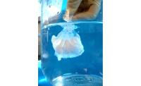 China 38 Micron Cold Water Soluble Polyvinyl Alcohol Film Pesticide Packaging Film for sale