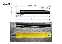China Standard Single Acting Hydraulic Ram Hollow Plunger Chrome for Snow Plow for sale