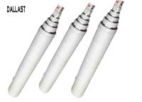 China 24 Inch  Hydraulic Cylinder Parker Long Stroke Telescoping Single Acting for Truck for sale