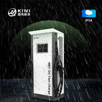 China Output Voltage DC 200V-1000V 60KW 120KW CCS2 Chademo Type2 EV DC Charging Pile for EVs for sale