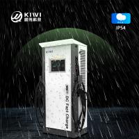 China 60kw 120kw Output Current CCS2 Chademo Type2 EV DC Charging Pile for Electric Vehicle for sale