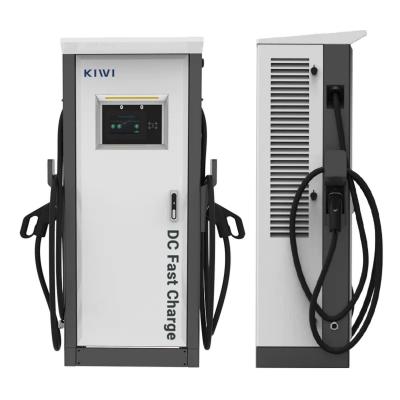 China 120kW CCS2 Type2 Ocpp1.6 Electric Car Charging Station for Fast Commercial DC EV Charger for sale