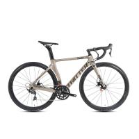 China Road Bike 700c 25c Carbon Fiber Frame 22 Speed Bicycle for Men ISO9001 Certified for sale