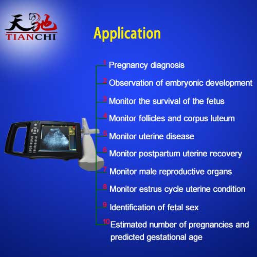 TIANCHI TC-300 Portable Ultrasound Cost In Vatican