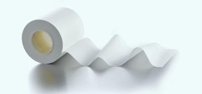 China Expanded PTFE Industrial Sheet Durable White 1800×5400mm Creep Resistant for sale