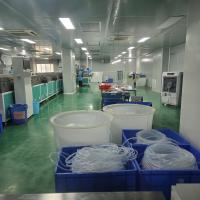 China Food Grade Silicone Peristaltic Pump Tubing Transparent Flexible Silicone Hose for Laboratory Dosing Pump, Pharmaceutical Biotech, Food Beverage, Water Treatment and Precision Fluid Transfer for sale