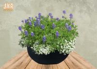 China Waterproof Fiberclay Pot Planter Clay Flower Pots White Black Gray Color Round Outdoor Planters for sale