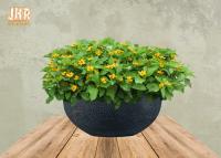 China Waterproof Fiberclay Pot Planter Clay Flower Pots White Black Gray Color Round Outdoor Planters for sale