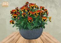 China Garden Pots Round Bowl Planters Clay Plant Pots Outdoor Flower Pot Resin Pot Planter Clay Pots Indoor Pots for sale