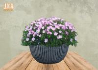 China Bowl Planters Fiber Clay Flower Pots Garden Pots Outdoor Planters Patio Planters Flower Planter for sale