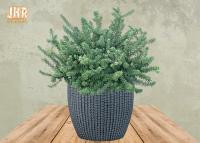 China Grey Pots Resin Plant Pots Round Planters Outdoor Pot Planters Clay Pots Garden Flowerpots Pot Flower for sale