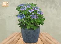 China Round Planters Fiber Clay Flower Pots Outdoor Flower Planter Patio Planters Grey Bowl Planters for sale