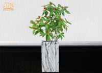 China Square Plant Pots Clay Flower Pots Marble Pot Planters Indoor Planters Patio Planters Outdoor Planters for sale