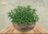 China Weathered Plant Pots Garden Flower Pots Clay Pot Planters Fiberclay Outdoor Planters Gray Color for sale