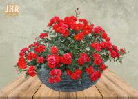 China Weathered Plant Pots Garden Flower Pots Clay Pot Planters Fiberclay Outdoor Planters Gray Color for sale