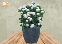 China Clay Garden Pots Large Fiberclay Plant Pots Outdoor Clay Planters Painted Flower Pots Gray Color for sale
