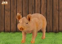 China Home Decor Life Size Polyresin Animal Figurines Pig Sculpture Floor Statue for sale
