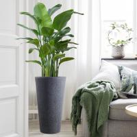 China Large Planters Fiber Clay Pots Garden Pots Resin Plant Pots Outdoor Planters Indoor Planters for sale